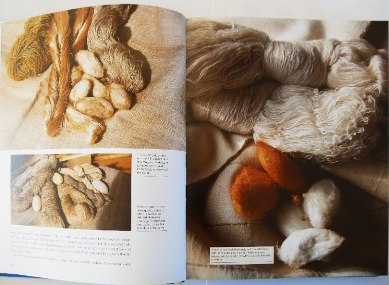 In Search of Wild Silk – Exploring a Silk Industry in the Jungles of ...